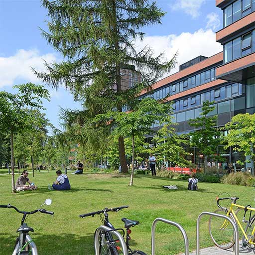 Alliance Manchester Business School UK - Undergraduate, Graduate & MBA ...