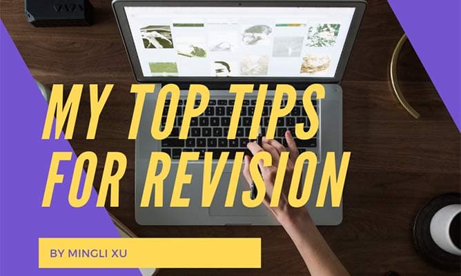 Undergraduate Business Degree UK | Alliance MBS