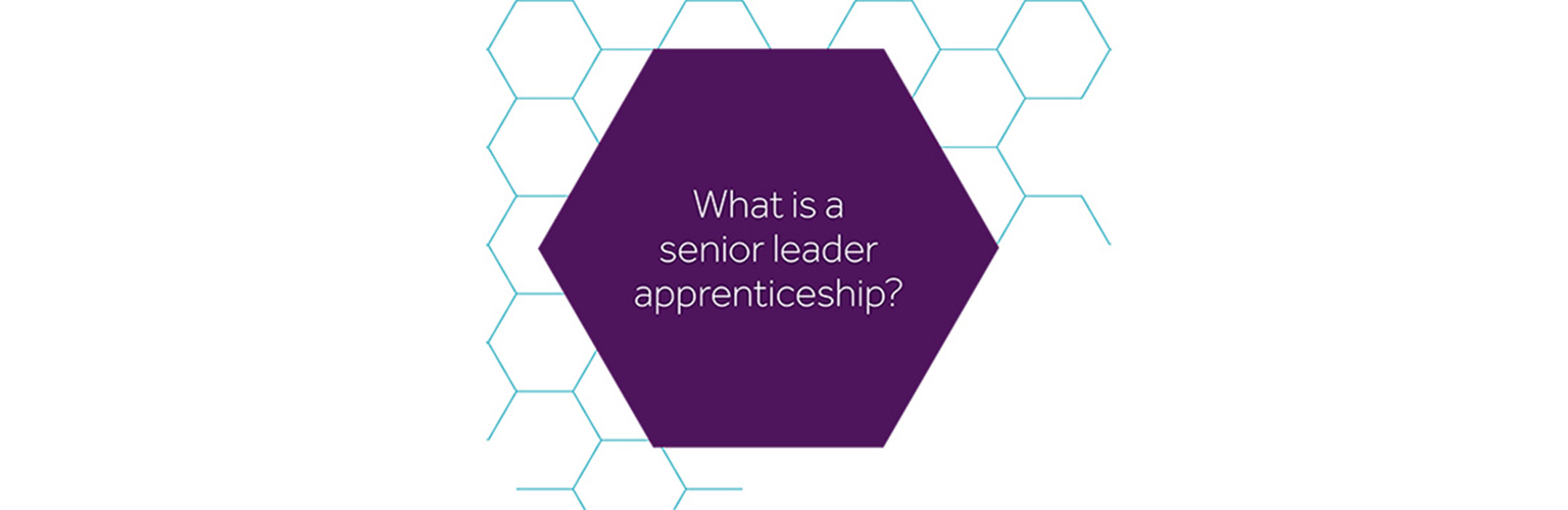 The Apprenticeship Levy Funding & How it Works? | Alliance MBS